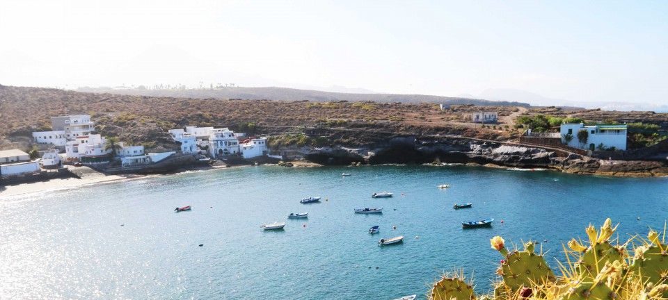 Turtle Bay Tenerife | Must Read Guide To See Turtles in Tenerife